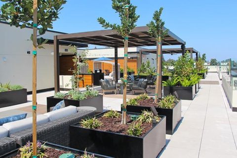 Santana Terrace Senior Apartments - The Guzzardo Partnership Inc.